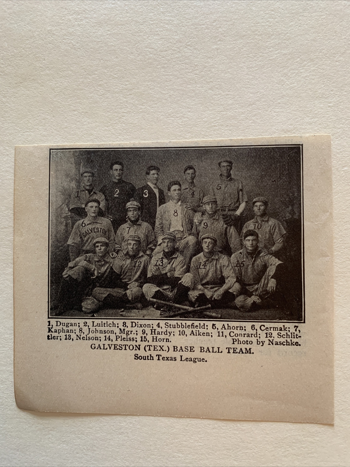 Galveston Sand Crabs South Texas League Ed Cermak 1903 Baseball Team ...