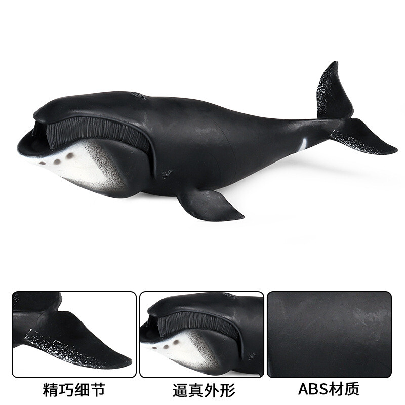 Bowhead Whale Sea Animal Toy PVC Action Figure model long23cm | eBay