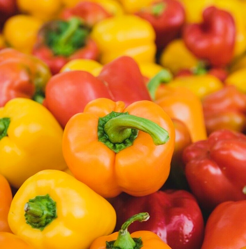 20+ Sweet Mini Bell Pepper Seeds, Red, Orange, Yellow, NON-GMO, Mixed ...