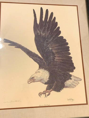 ENOCH KELLY HANEY S/N Limited Edition ART PRINT American BALD EAGLE 235 ...