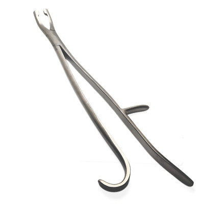 Reynolds Cap Extracting Forceps 17" Upper Dental Equine Tool Stainless ...
