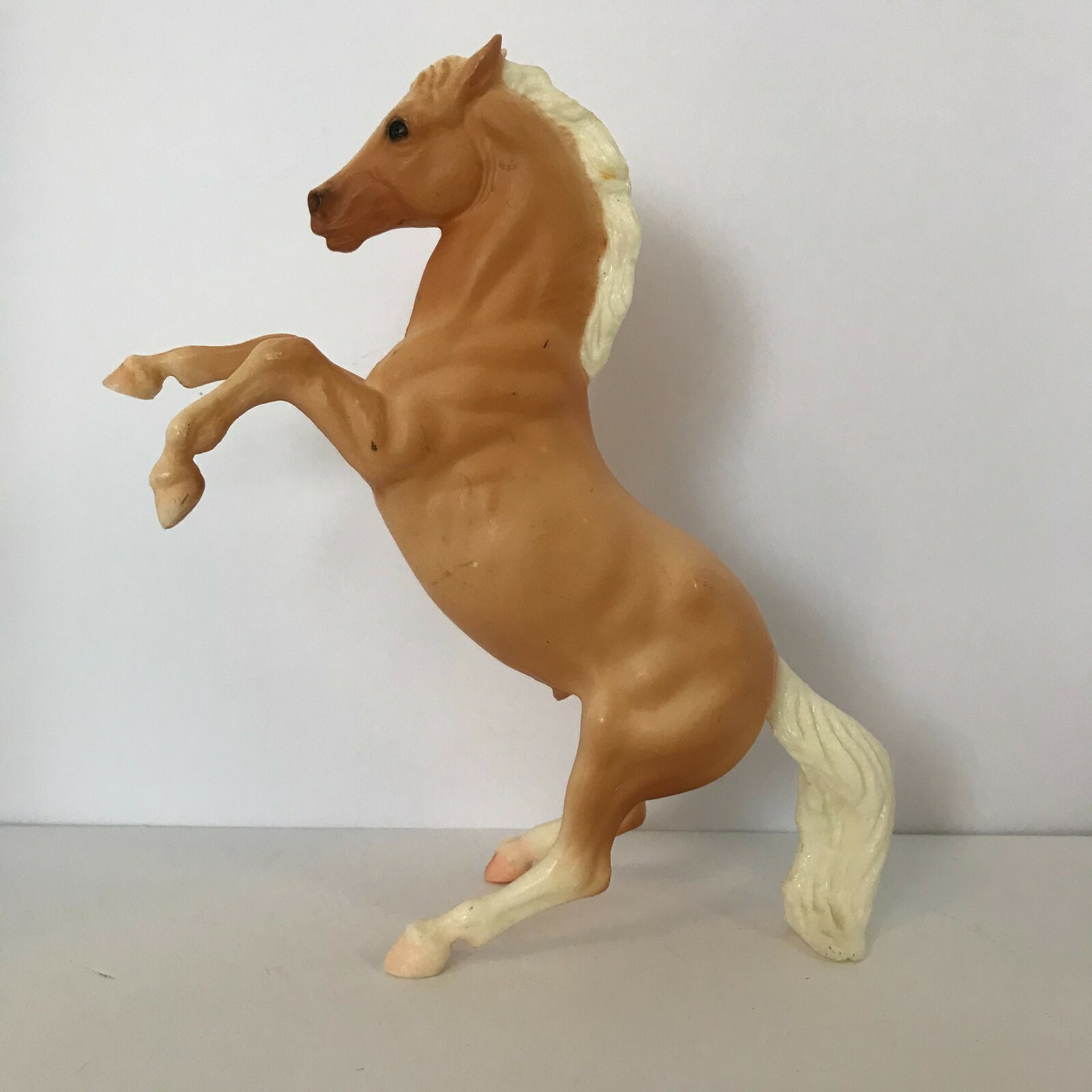 Palomino Horse Rearing