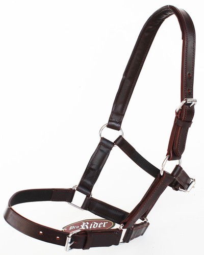 Equine Riding Horse Leather Halter English Western Tack Foal Brown ...