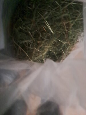 Heu 1Kg Selbst Angebaut | eBay