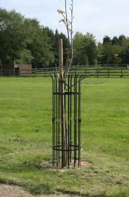 1.5m Tall Black Wrought Iron Tree Guard Tree Protector | eBay