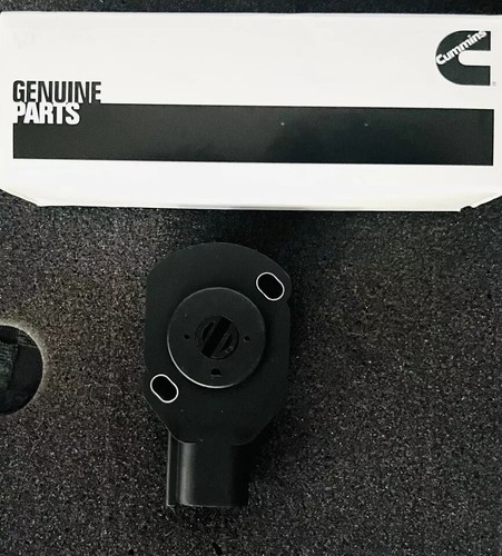 New Cummins TPS APPS Throttle Position Sensor for 5.9L 98-07 Dodge RAM ...