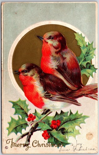 Merry Christmas, Xmas Greetings, Red Robin Birds with Holly Leaves ...