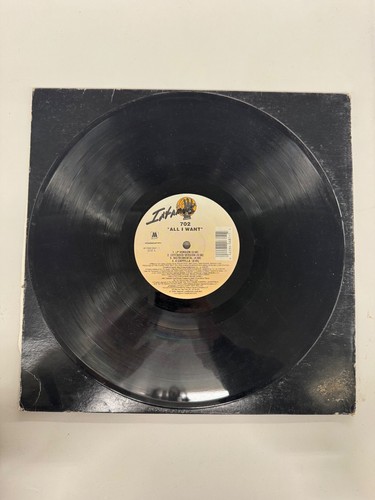 702 - All I Want / Get It Together 12" Record 1996 Big Beat R&B 33 RPM ...