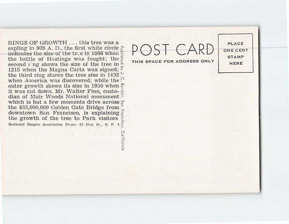 Postcard Rings of Tree Growth Muir Woods National Monument California ...