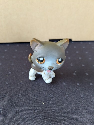 LPS Littlest Pet Shop #174 Brown and Black Husky | eBay