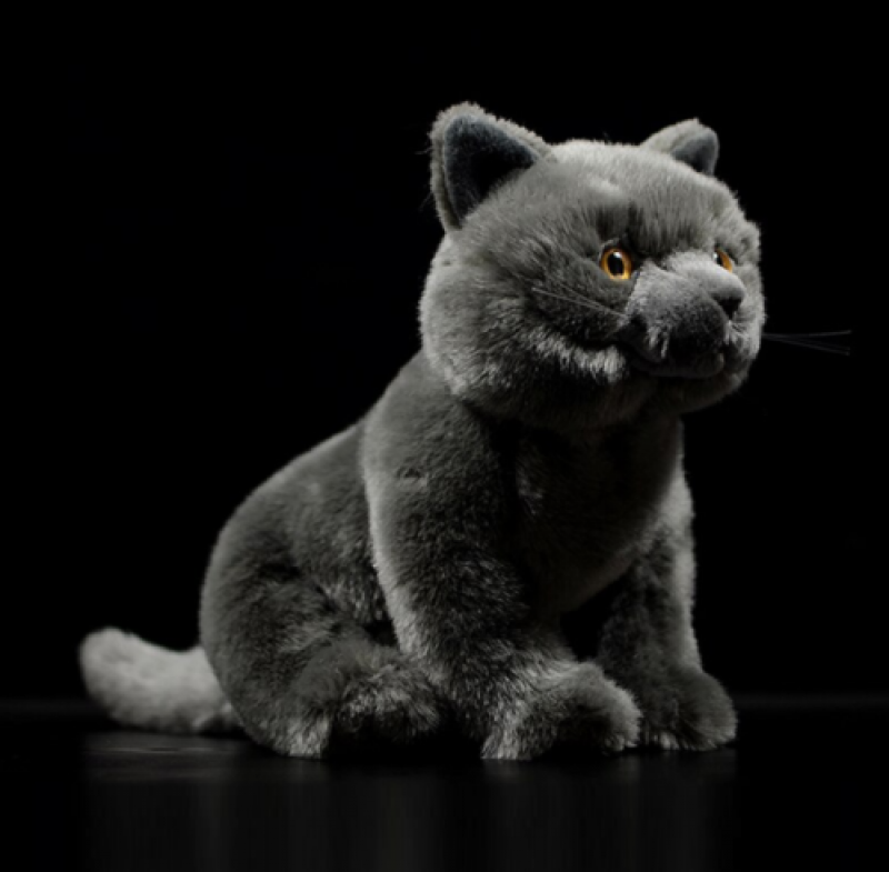 11" / 28cm Gray Shorthair Cat Plush Toy Stuffed Animal Soft Doll Kids ...