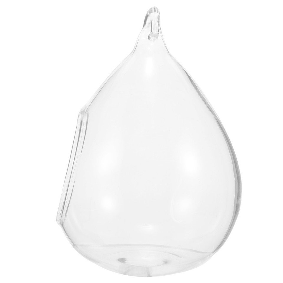 Transparent Glass Globe Terrarium Household Hanging Terrarium Air Plant ...