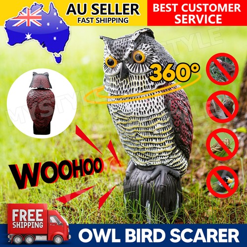Bird Deterrent Scare Owl with Rotating Head Large Realistic Possum ...