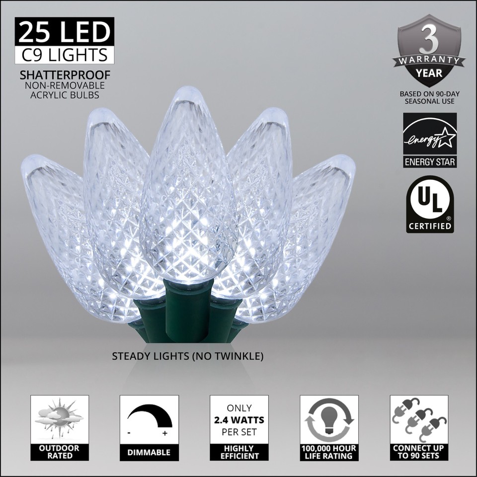 C9 LED Christmas Light Set Indoor Outdoor Home Holiday Party String ...