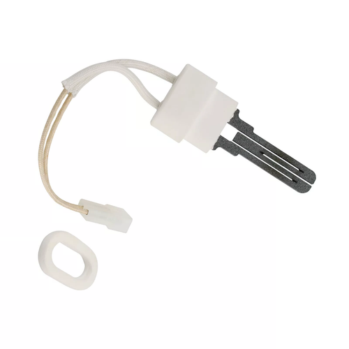 Pool Heater Igniter & Gasket Kit For Pentair MasterTemp 200/250/300/400 ...