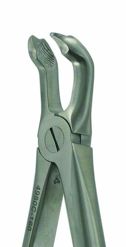 Implant Dentistry – Lower Molar Modify Cow-Horn Beak (F-7C) Forcep | eBay