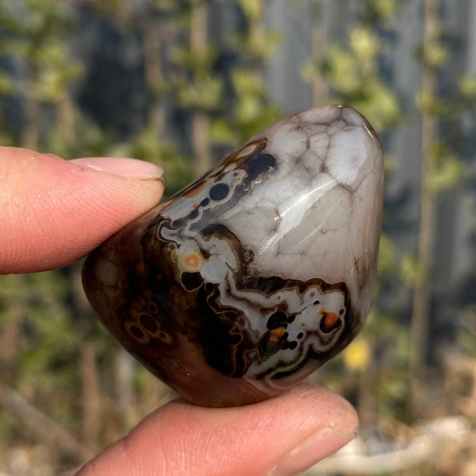 44G Polished Silk Banded Lace Agate Stone | eBay