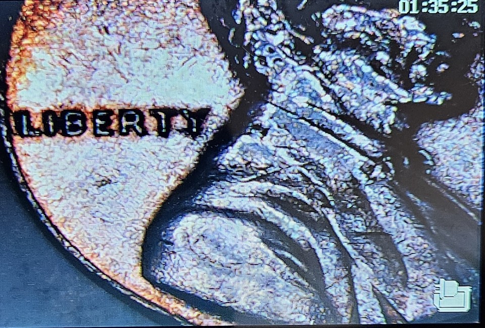 1983-D 1 One Cent, Silver-Copper Finish. NEVER SEEN THIS BEFORE! RARE ...