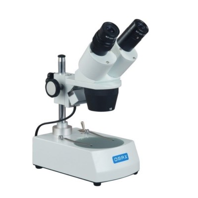 Microscopes - Microscope With 10X - 2