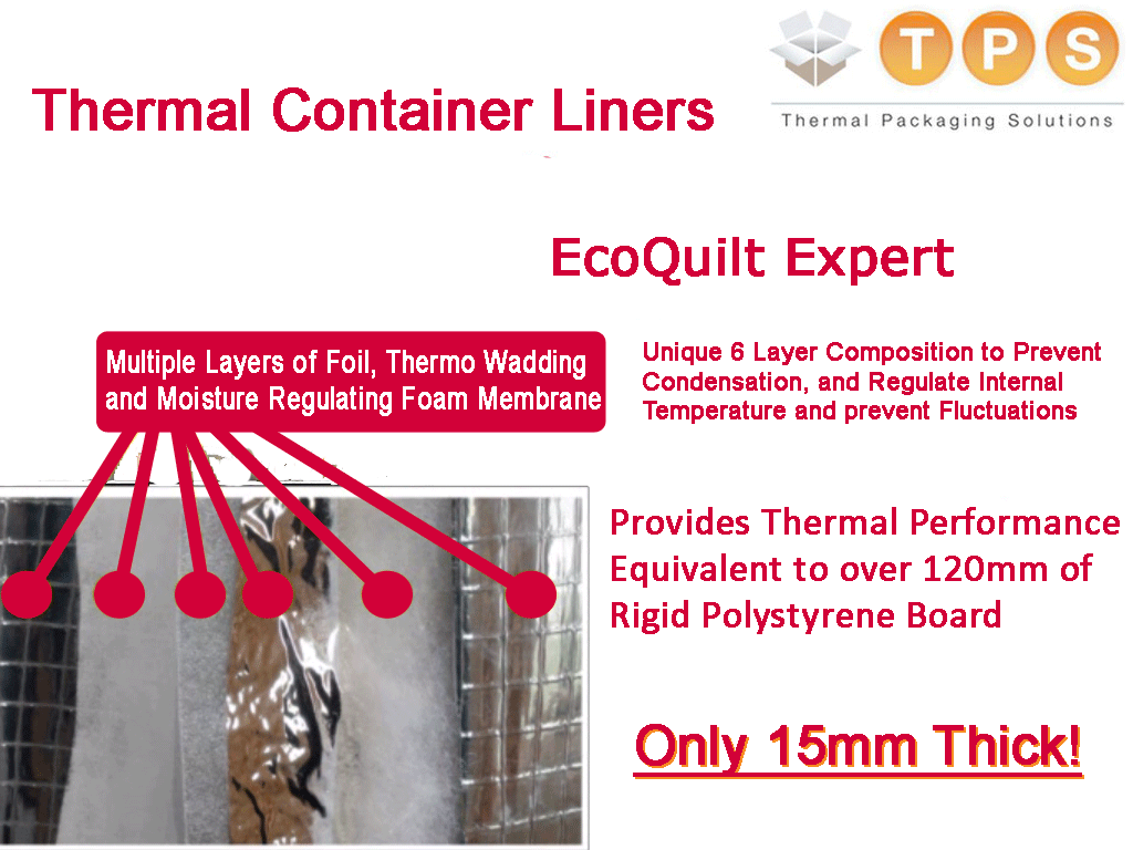 TPSolutions ThermaPack Insulated Thermal Container Liners-20 to 40ft ...