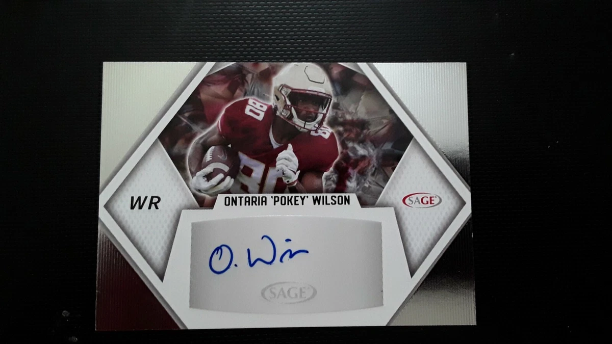 Pokey Wilson Outlet | emergencydentistry.com