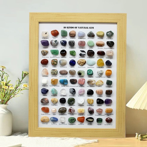Collector Display Gemstone Diversity Exhibit 80 Natural Gemstones Ore ...