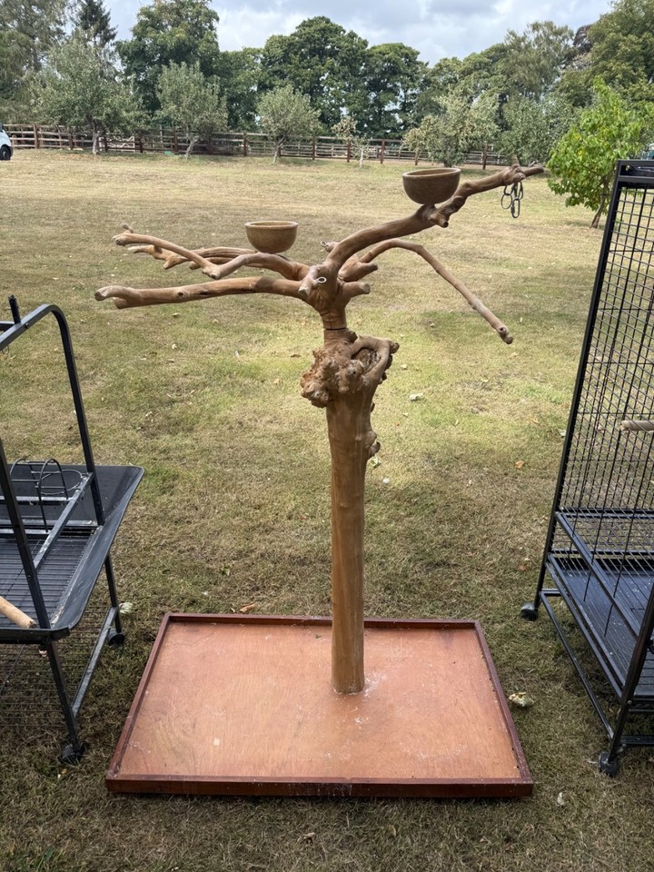 parrot cage x2 parrot gym and Java wooden stand | eBay UK