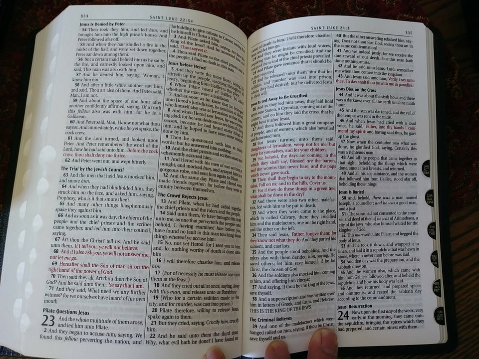 KJV Genuine Buffalo Hide Bible Thinline Thumb Indexed ~ Brown Leather ...