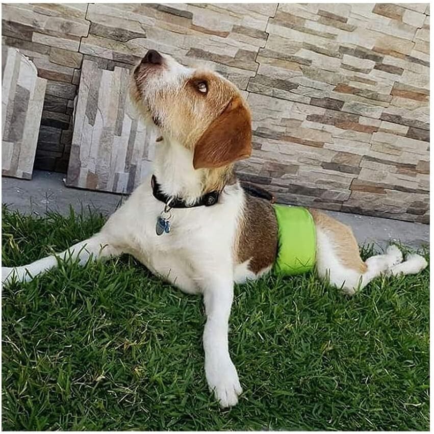 Male Dog Wraps Washable & Reusable Belly Band Diaper Trainer Potty 3 ...