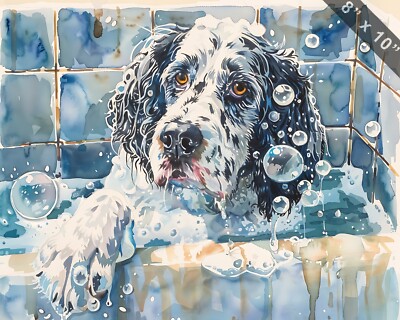 English Setter with bath bubbles in the tub watercolor p 8x10 Print | eBay