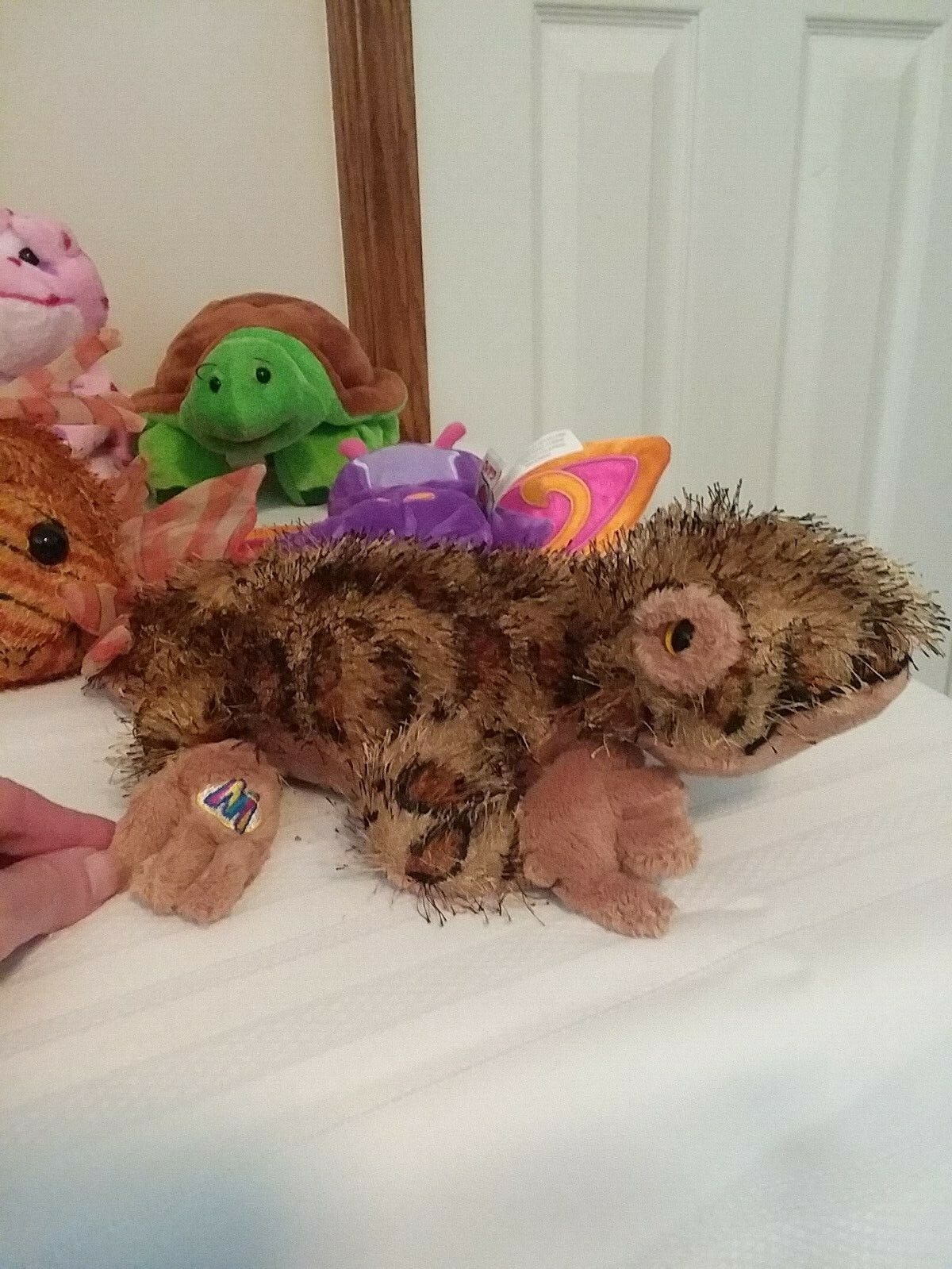 Webkinz Snake Fish Frogs Iguana Zumbuddy Turtle Lot of 8 | eBay