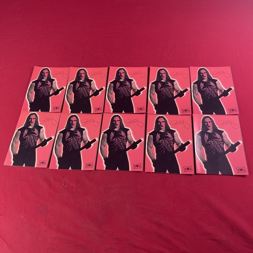 Lot Of 10 “Sting NWO” Wrestling Birthday Card - Vintage 1998 5x7in Gift ...
