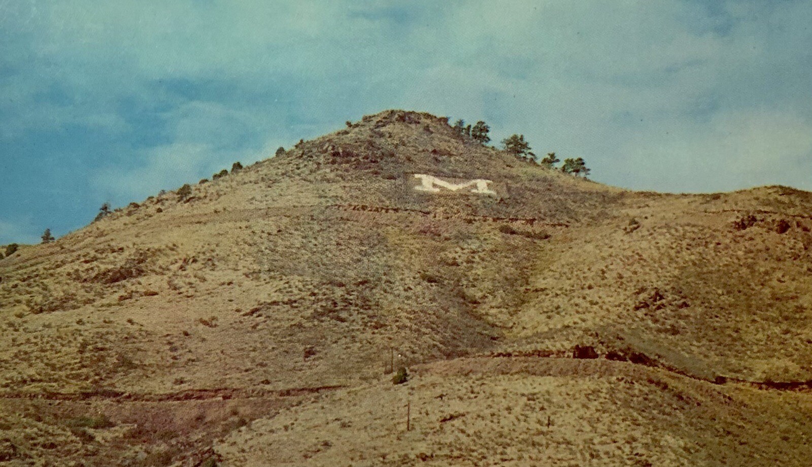 Postcard Colorado School of Mines Golden Mt Zion Giant M Made of Rocks ...