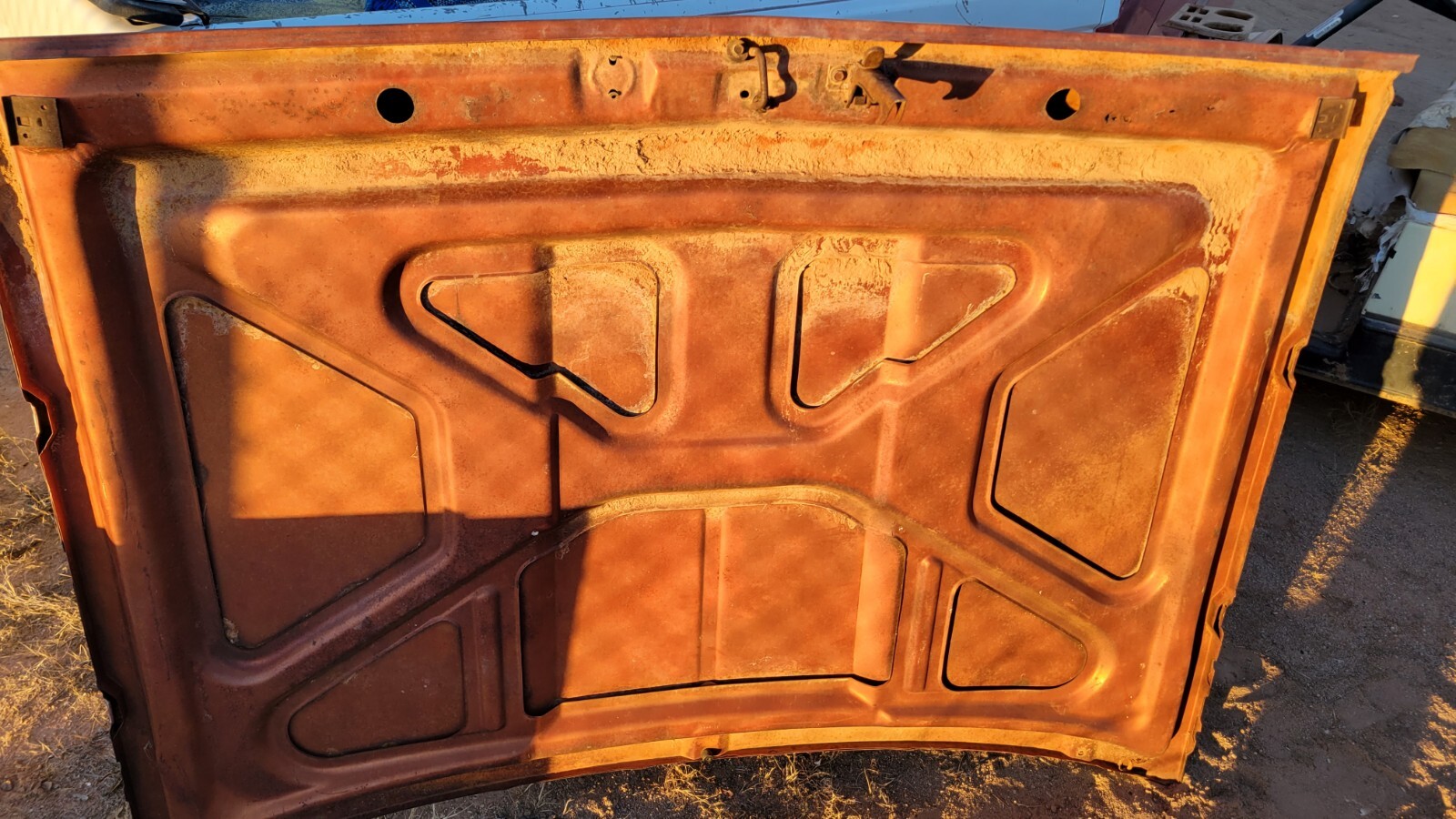 72-78 Dodge D100 D150 D200 Ramcharger " Bird Bath " Hood | eBay