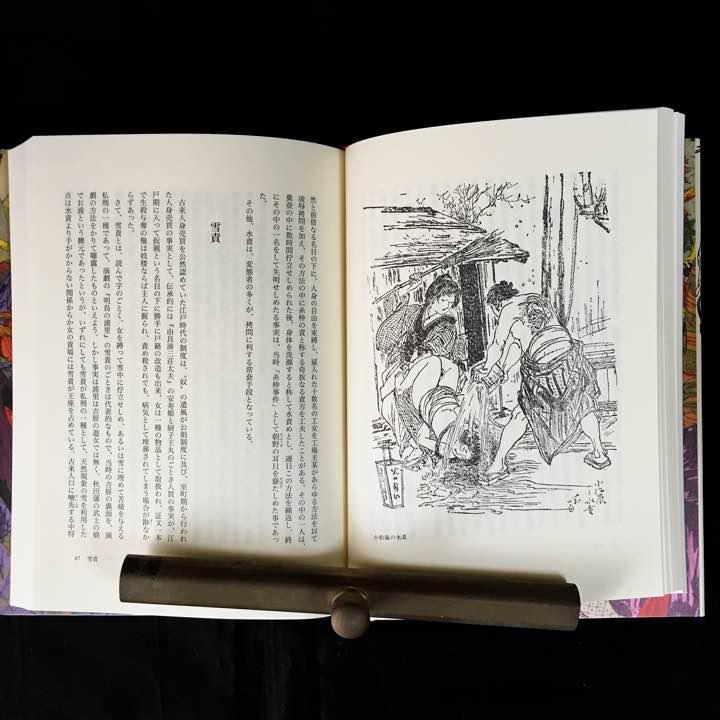 Severe Punishment and Genre Picture bondage KINBAKU SEIU ITO Book | eBay