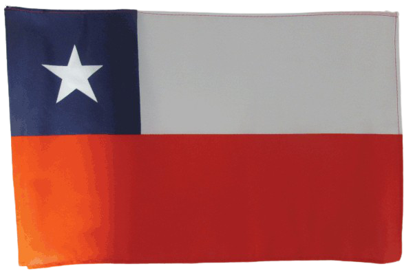 Courtesy Flag 1.5ft x 1ft Sleeved Polyester 180+ designs FREE P&P | eBay UK