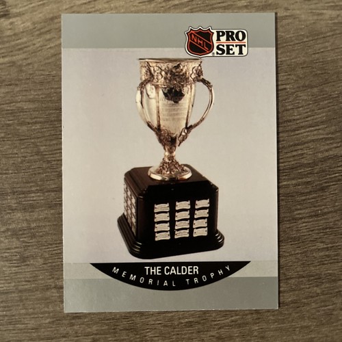 1990 Pro Set #379 The Calder Memorial Trophy AW Very Good NHL Mint | eBay