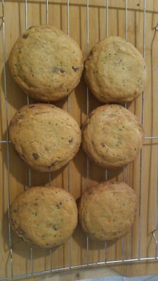 6 (Special) Chocolate Chip Cookies | eBay