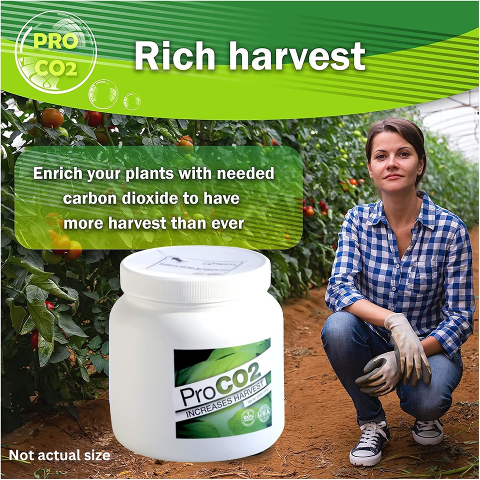 CO2 for Indoor Grow Tent - Ready to Use - Carbon Dioxide Boost for ...