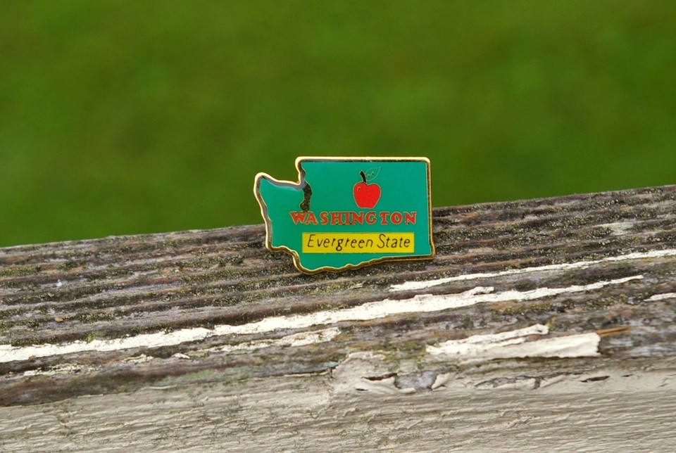 Washington Evergreen State WA Red Apple Metal & Enamel Lapel Pin ...