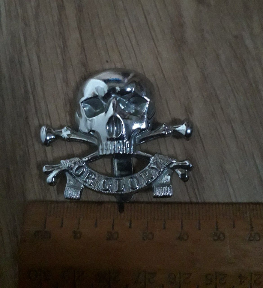 17th 21st Lancers, Chrome Metal, Motto Death or Glory ,J R Gaunt ,B,Ham ...