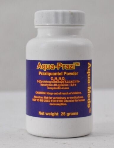 Aqua-Prazi Aqua-Meds Praziquantel Powder for Fluke Parasites 25 Grams ...