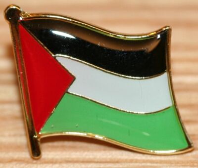 PALESTINE Palestinian Flag Country Metal Lapel Pin Badge **UK STOCK ...