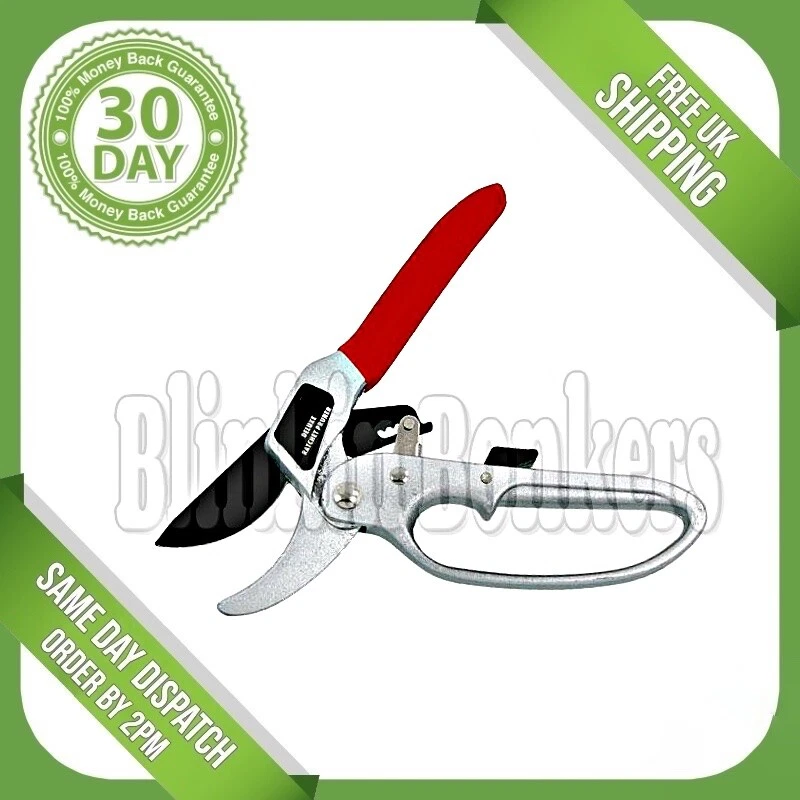 Best Garden Scissors Uk | Fasci Garden