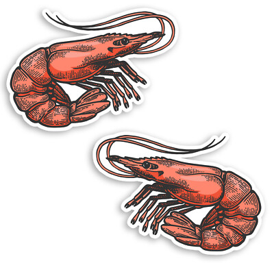 2 x 10cm Pink Prawn Drawing Vinyl Stickers - Shrimp Fun Laptop Sticker ...