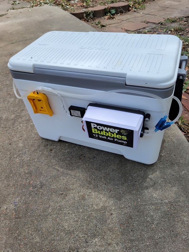 Portable Livewell, Igloo, Bait bucket | eBay