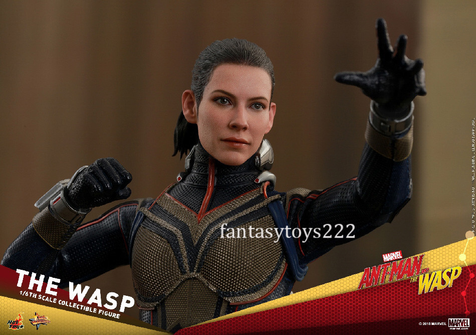IN STOCK Hot Toys 1/6 MMS498 Ant-Man and the Wasp The Wasp Action ...