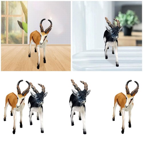 Antelope Springbok Deer Figurines Forest Miniature Action Figure Zoo ...
