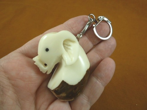 (TNE-ELE-716A) lucky white baby PACHYDERM TAGUA NUT Figurine KEYCHAIN ...