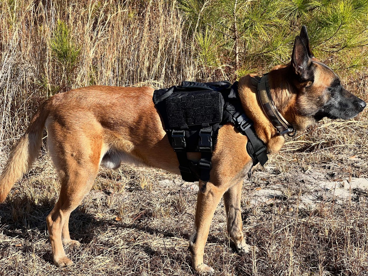 Waterproof Bite Proof Dog Gear Tactical Dog Harness For Large Dogs ...